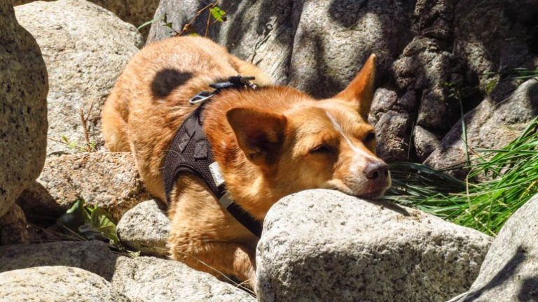 Wanderung zu den Gumpen von Purcaraccia | auf-den-berg.de