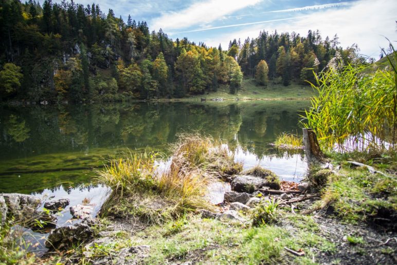 Kurze Rundwanderung zu Taubensee und Taubenseehütte | auf-den-berg.de