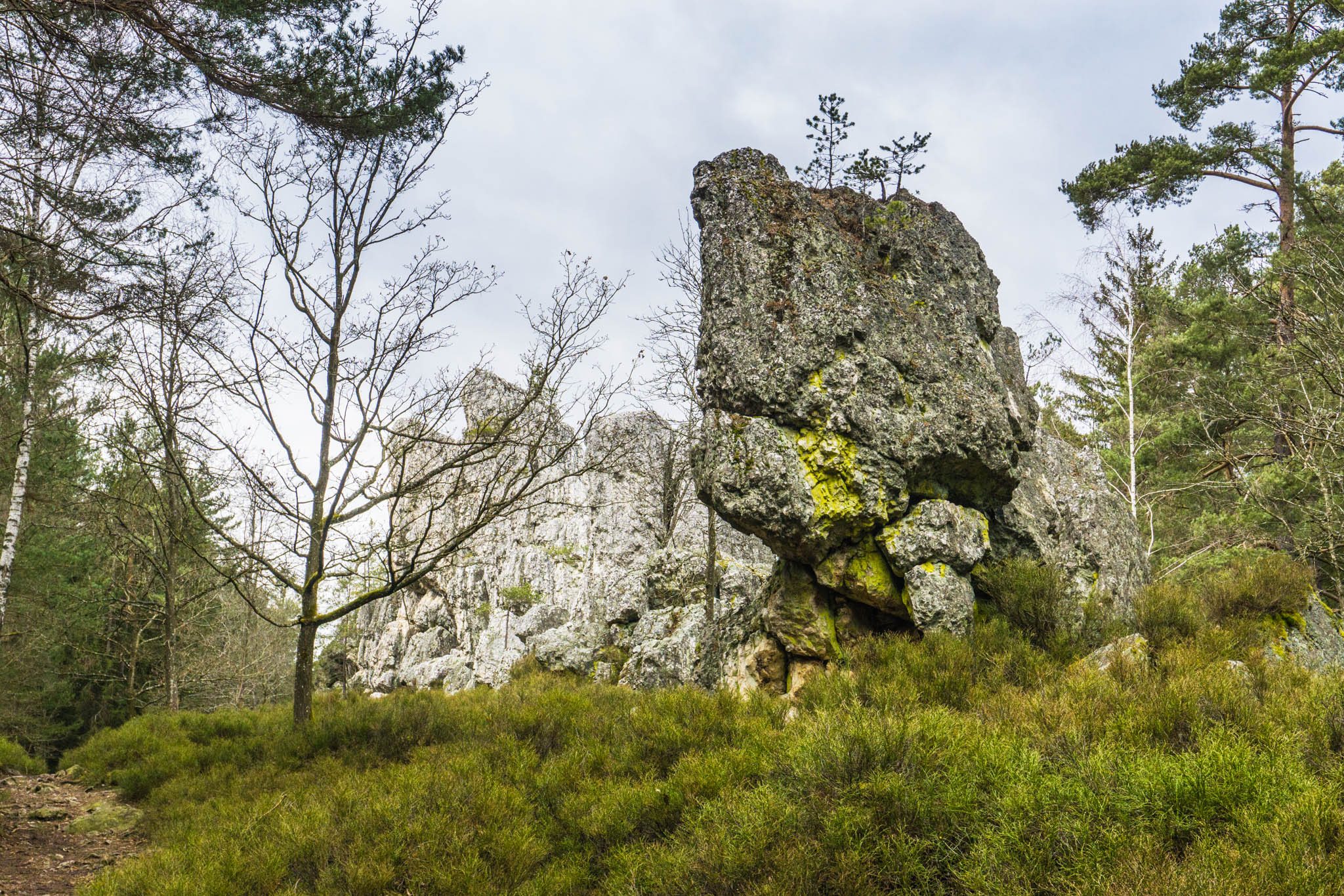 Wanderung auf dem Großen Pfahl bei Viechtach | auf-den-berg.de