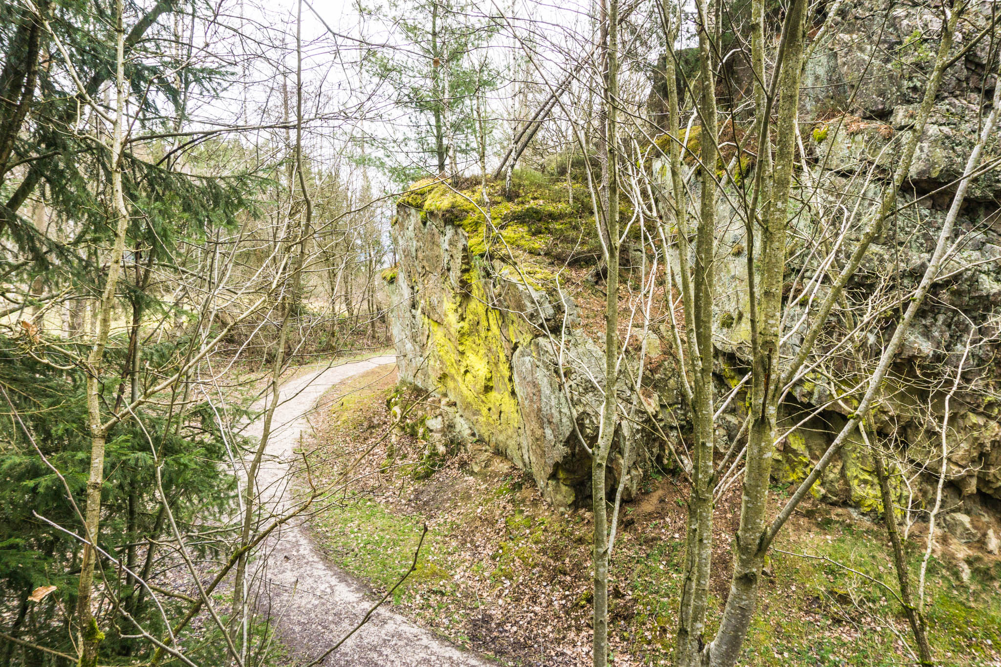Wanderung auf dem Großen Pfahl bei Viechtach | auf-den-berg.de