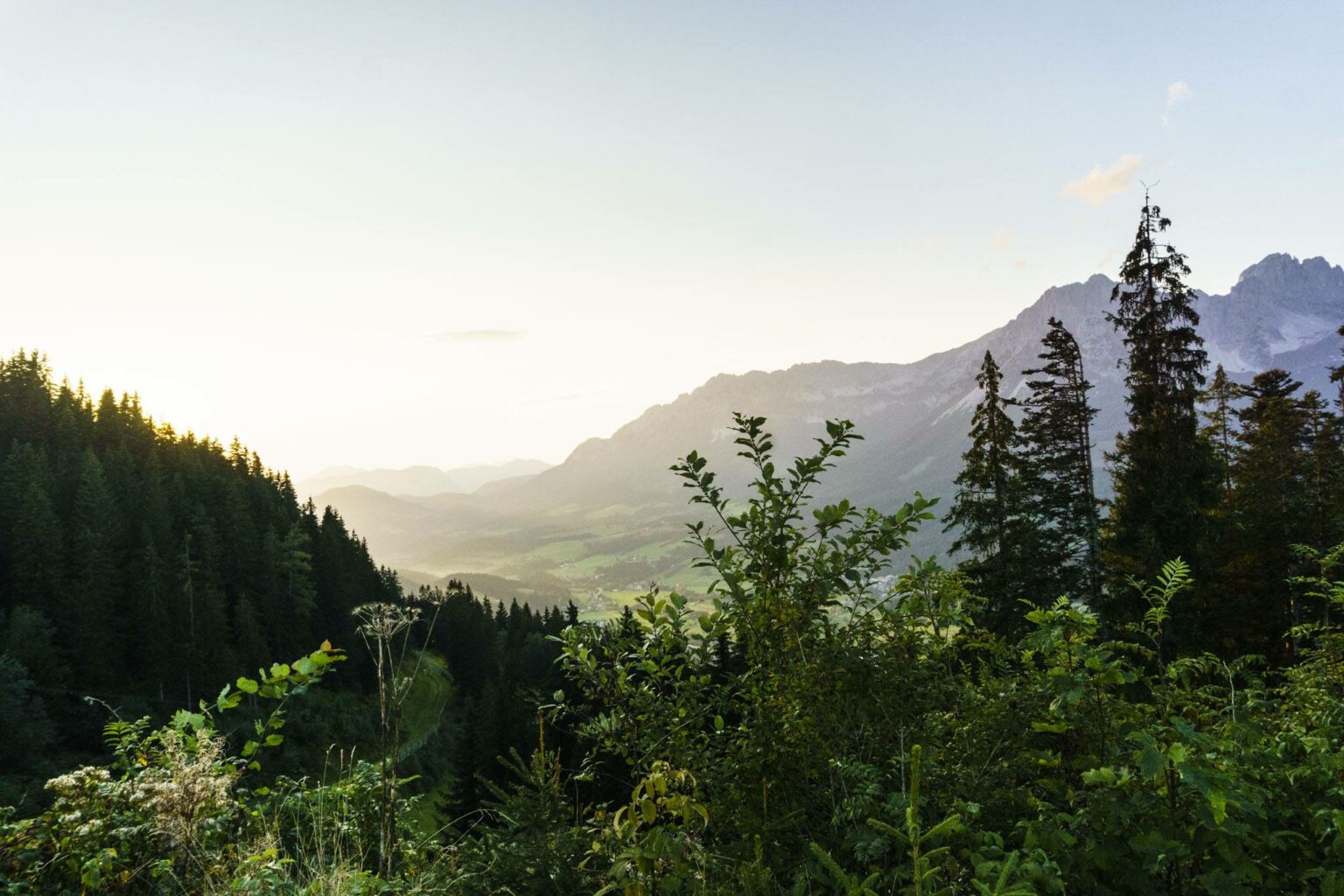 Wanderung von Going auf den Astberg und zum Astbergsee | auf-den-berg.de