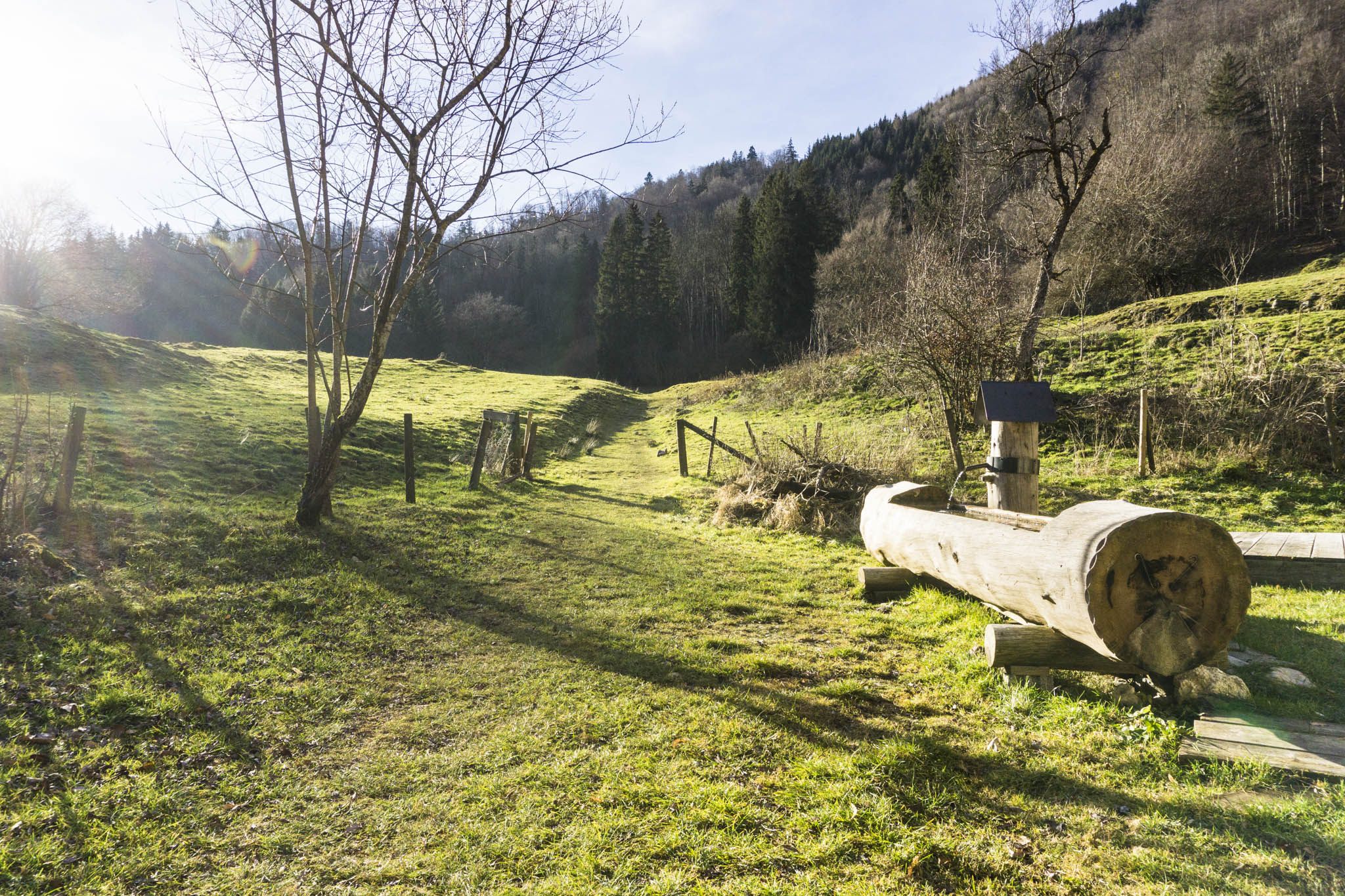 Von Flintsbach auf den Großen Riesenkopf | auf-den-berg.de