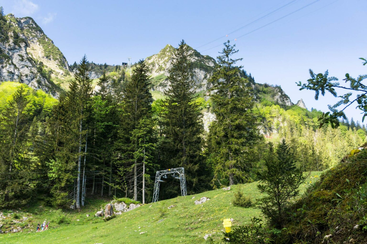 Wanderung auf den Hochfelln | auf-den-berg.de