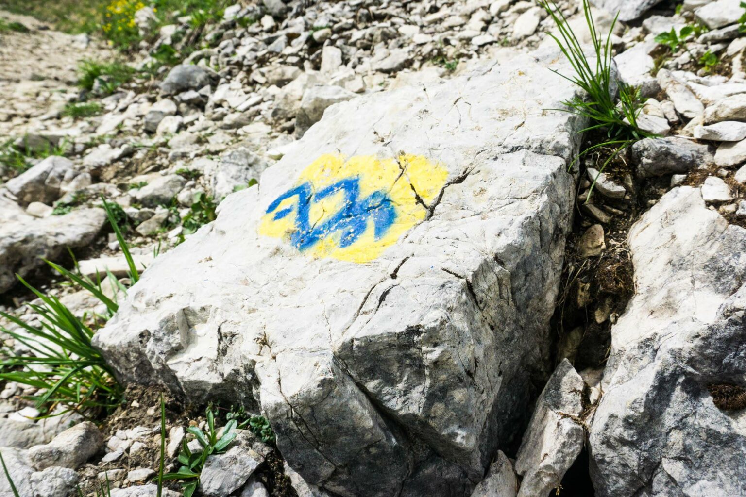 Wanderung auf den Hochfelln | auf-den-berg.de