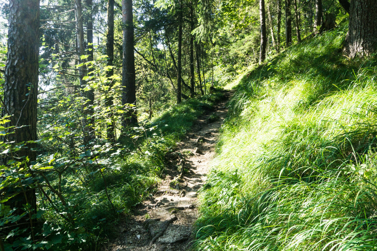Wanderung zur Steinernen Agnes und über das Lattengebirge | auf-den-berg.de