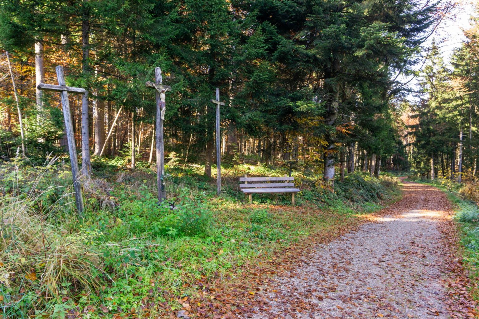 Wanderung auf den Taubenberg | auf-den-berg.de