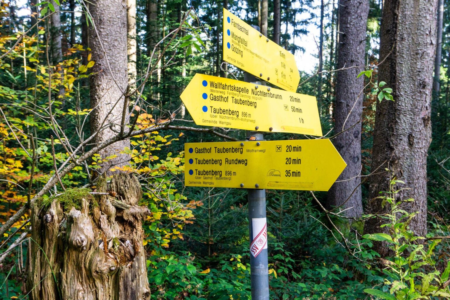 Wanderung auf den Taubenberg | auf-den-berg.de